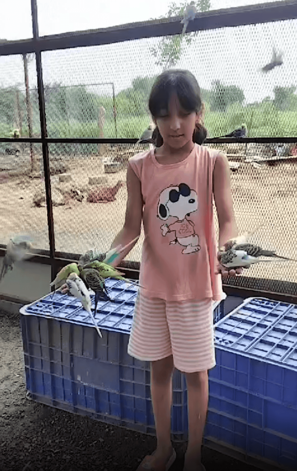 Get 10% Off Zootopia - The Funyard Animal Petting Farm | Sector 58 ...