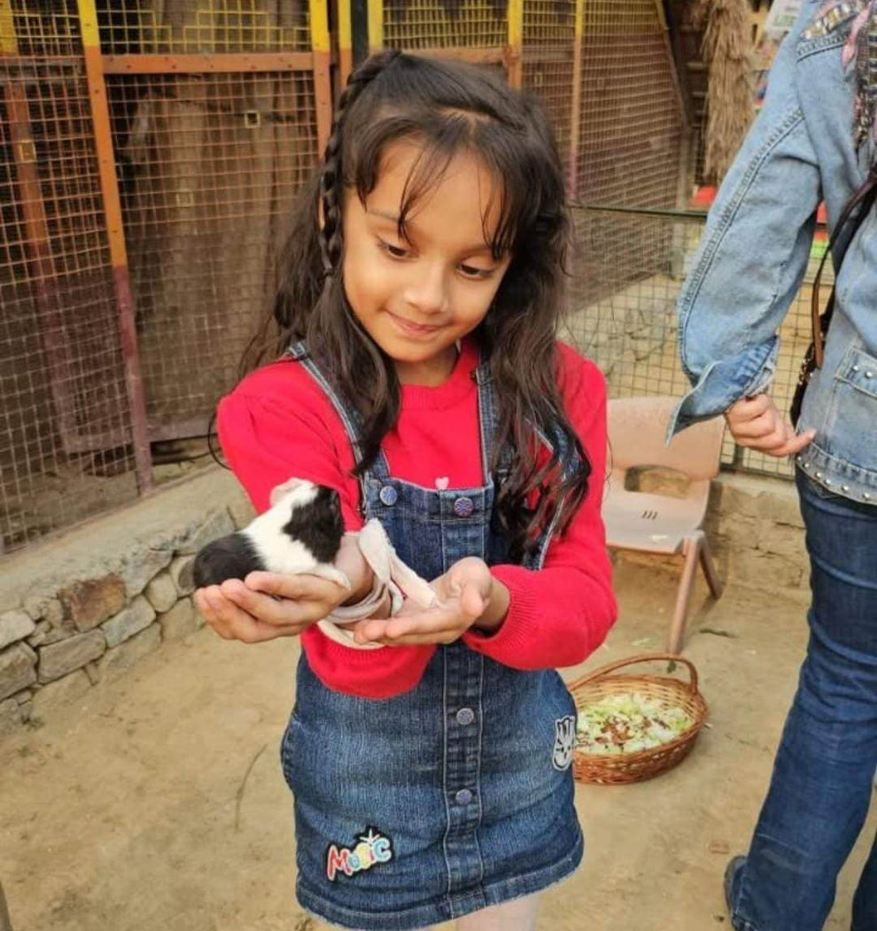 Get 10% Off Tuk Tuk Gilhari Animal Petting Farm | Kadarpur Gurgaon ...