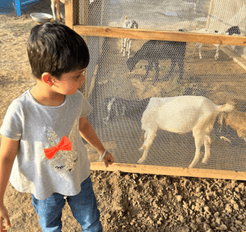 Get 10% Off Zootopia - The Funyard Animal Petting Farm | Sector 58 ...