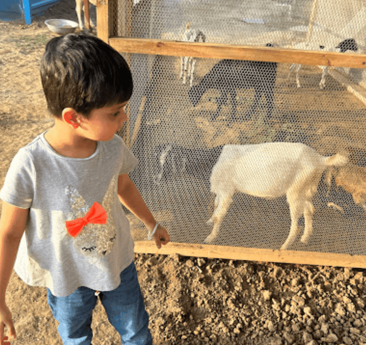 Get 10% Off Zootopia - The Funyard Animal Petting Farm | Near Urban ...